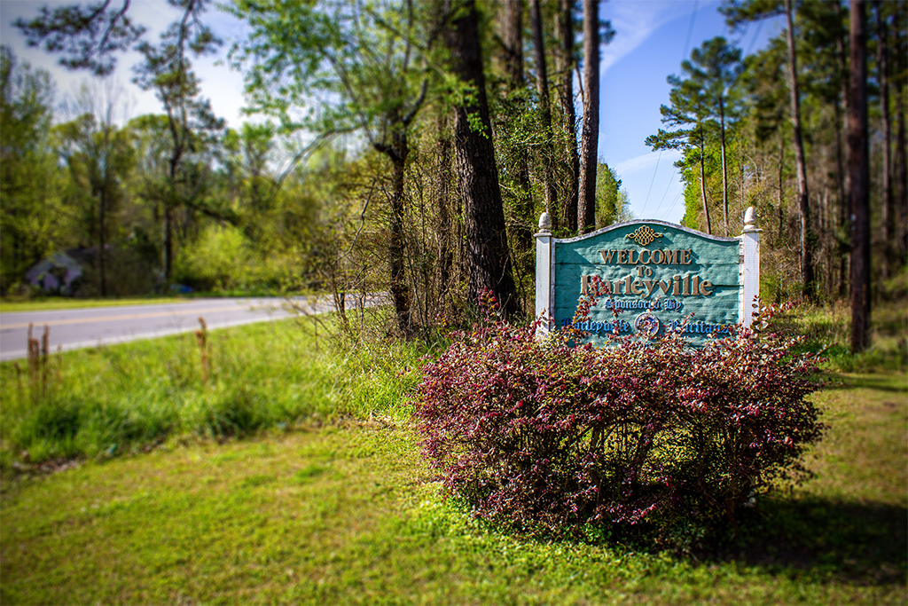 Harleyville Comprehensive Plan 2020 | BCDCOG